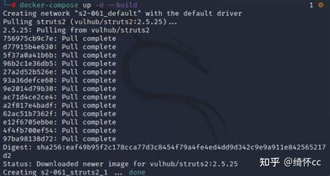 struts2 062 rce简单复现 cve 2021 31805 知乎