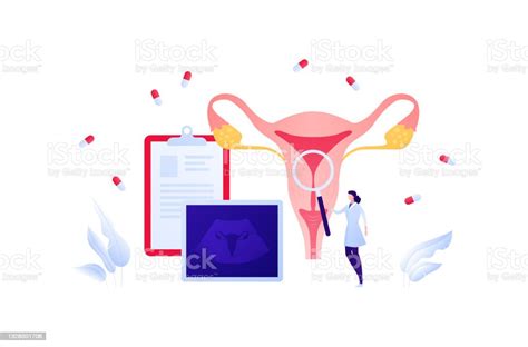 의료 초음파 절차 개념 벡터 플랫 헬스케어 일러스트레이션 여성 생식 시스템 및 자궁 진단 돋보기 유리 및 의학 캡슐 기호여성