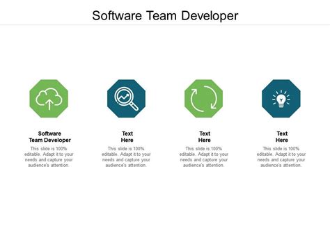 Software Team Developer Ppt Powerpoint Presentation Infographics Demonstration Cpb