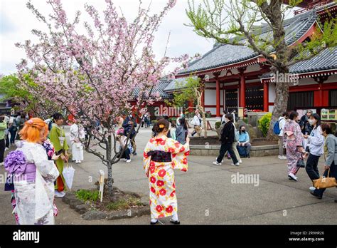 Japanese Girls Fotos Und Bildmaterial In Hoher Auflösung Alamy