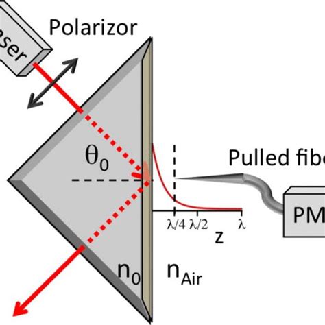 Scheme Of The Photon Scanning Tunneling Microscope The Pulled Fiber Download Scientific