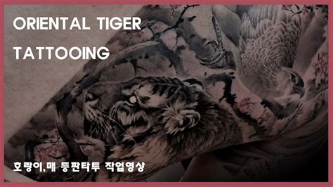 [홍대타투] 벚꽃핀 기념 동양화 호랑이 매화 등판문신 작업과정 작업시간 Youtube