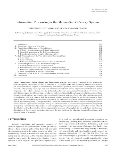 pdf information processing in the mammalian olfactory system