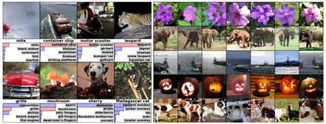 alexnet imagenet classification with deep cnn 3