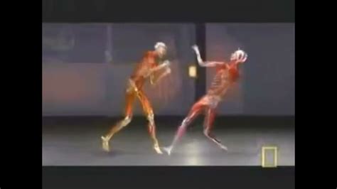 Devastation Extended Meme Youtube