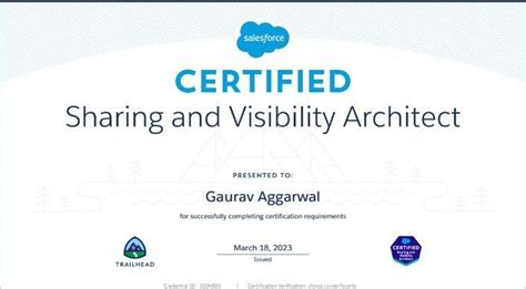 Gaurav Aggarwal On Linkedin Weekend Done Right Achieved The Salesforce Sharing And Visibility