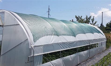 Засјењивање пластеника Ресор за пружање стручних услуга у пољопривреди