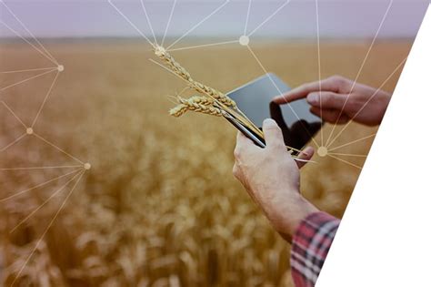 Gluware Intelligent Network Automation For The Cloud Era™ Intent