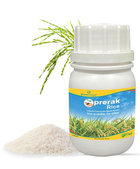 Prerak Rice Grow Indigo