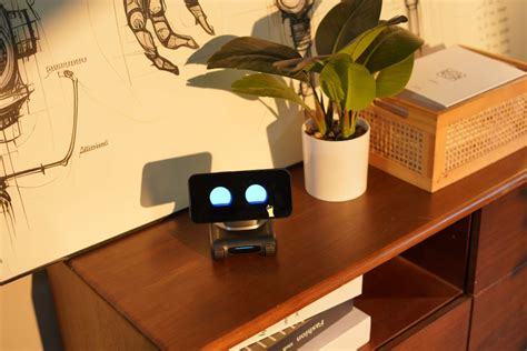 Looi Desktop Robot The Sinsa