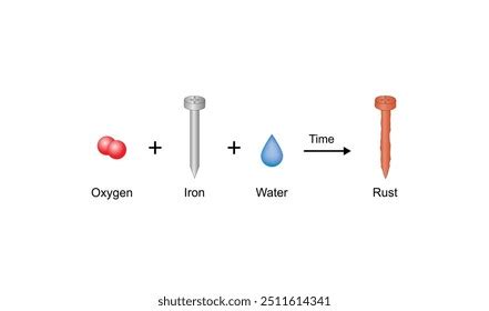 13875 Iron Nail Rusting Experiment Stock Vectors And Vector Art