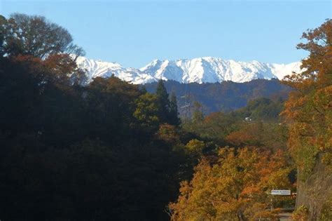 山野の花実北信と周辺 渓谷紅葉