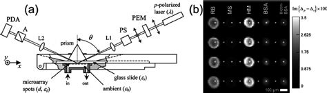 A Set Up Of Total Internal Reflection Oi Rd Microscope With Reaction Download Scientific