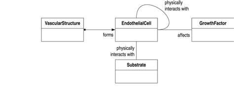 Domain Model The Entities Of Concern In The Domain Shown As A