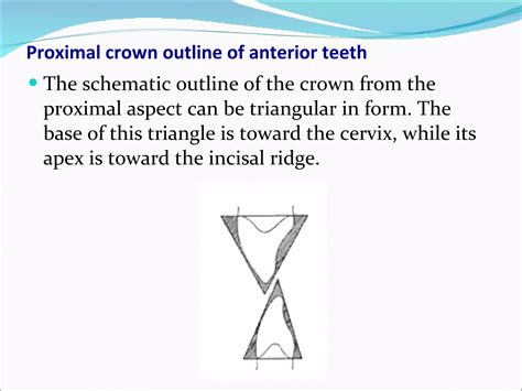 Geometries Of Crown Outlines Ppt