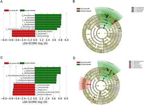Linear Discriminant Analysis LDA Effect Size LefSe At The Genus Download Scientific Diagram