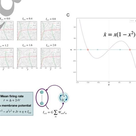 Reduction Of Neural Mass Models To A Basic Onedimensional Form A Download Scientific Diagram