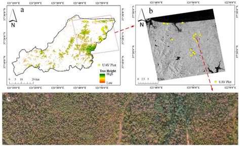 Remote Sensing Special Issue Machine Learning For Spatiotemporal Remote Sensing Data
