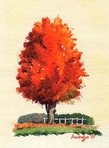 Maple Tree Drawing At PaintingValley Com Explore Collection Of Maple Tree Drawing