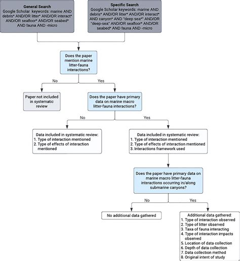 Frontiers Marine Litter Fauna Interactions A Standardised Reporting Framework And Critical