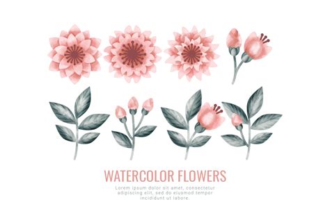 Vector Watercolor Flowers And Branches 206192 Vector Art At Vecteezy