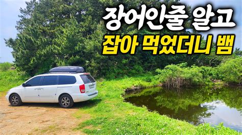 이상한 장어를 잡아 먹었더니 뱀이라고 맛이 왜 이래 자급자족 차박 Youtube