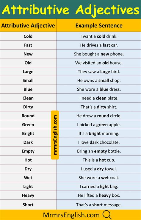 Attributive Adjectives Examples Sentences In English With Pictures Mr