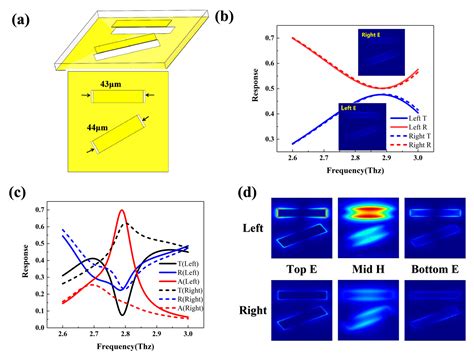 Polarization Dependent Absorption And Transmission Metasurfaces For Linearly And Circularly