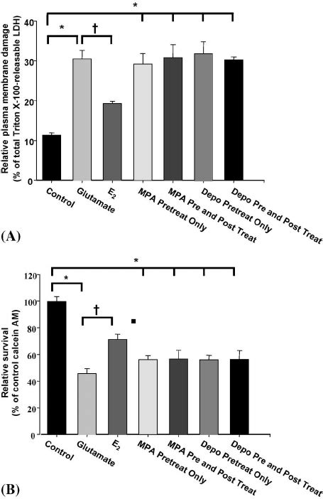 Medroxyprogesterone Acetate And Depo Provera 1 Are Download