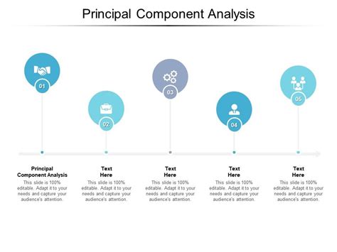 Principal Component Analysis Ppt Powerpoint Presentation Infographics Graphics Template Cpb
