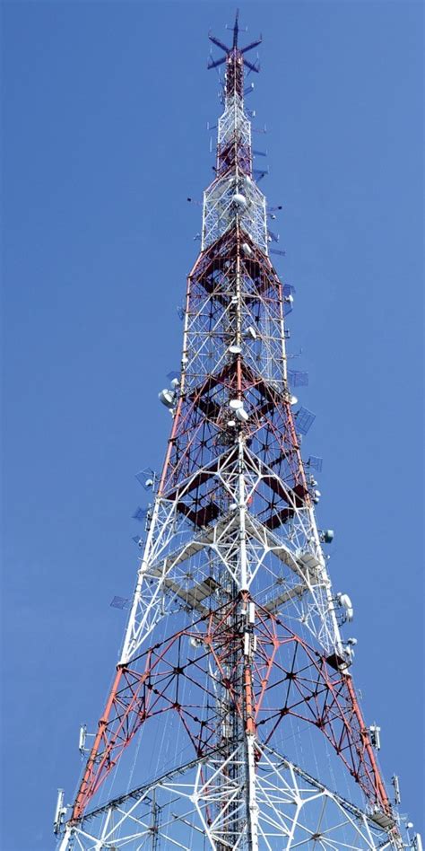 Serviciului De Telecomunicatii Speciale Prezentare Program Practică 19 Martie 2019 Ora 16