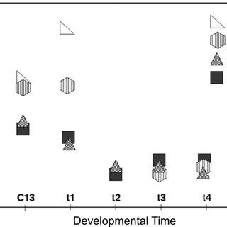 Dynamic Filtration Of The Positional Error At A Level Of Zygotic Gene Download Scientific