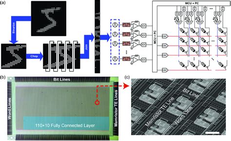 Schematic Of The Diffusive Memristor‐based Dynamic Reservoir For
