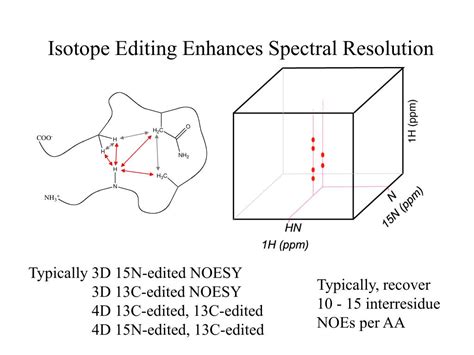 Ppt 3d Triple Resonance Methods For Sequential Resonance Assignment