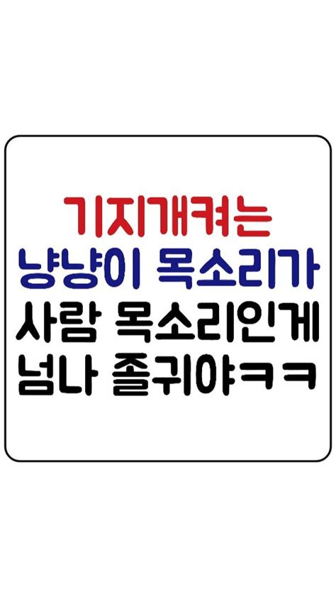 해피그램 ️ 표정 존웃ㅋㅋㅋㅋㅋㅋㅋ ╭─────────────╮ 웃긴짤감동사연공감정보 매일 업데이트~💕 🙆🏻‍♂️게시글 문제시 Dm 부탁드립니다🙆🏻