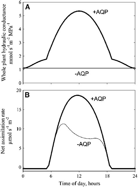 Theoretical Output Of A Model Comparing A Plant That Invests Enough Download Scientific Diagram
