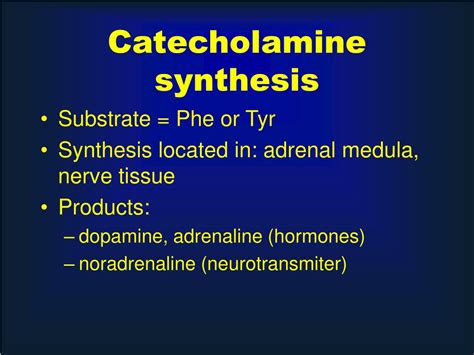 Ppt Synthesis And Degradation Of Hormones Powerpoint Presentation