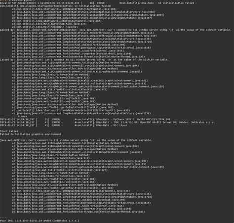 Linux Java Cant Connect To X11 Window Server Using Localhost100