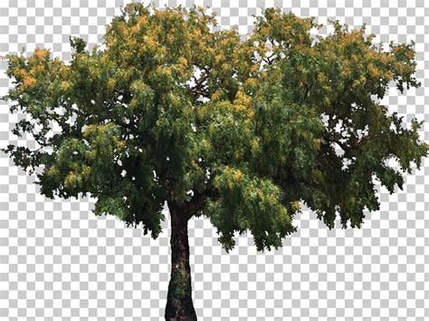 Tree Computer Icons PNG Clipart Autocad Dxf Branch Bushes Christmas Tree Clip Art Free PNG