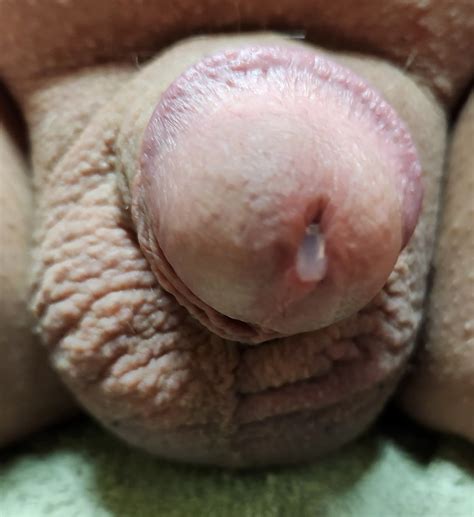 Small Cock Pre Cum 5 Nude Pics Xhamster Small Cock Pre Cum 5 Nude Pics Xhamster