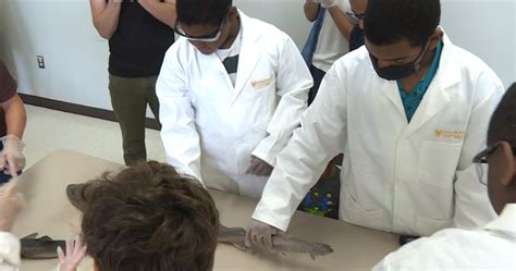 Halifax Group Aims To Increase Bipoc Representation In Natural Sciences