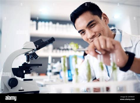 Scientist Microscope And Plants Pharmaceutical Research Ecology