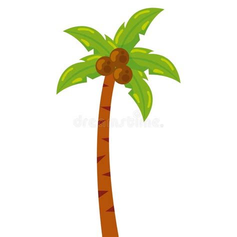Isolated Colored Palm Tree With Coconuts Vector Stock Vector