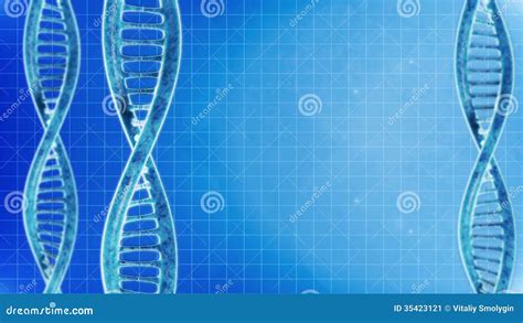 Rotation Of The DNA Molecules Stock Footage Video Of Animation Loops