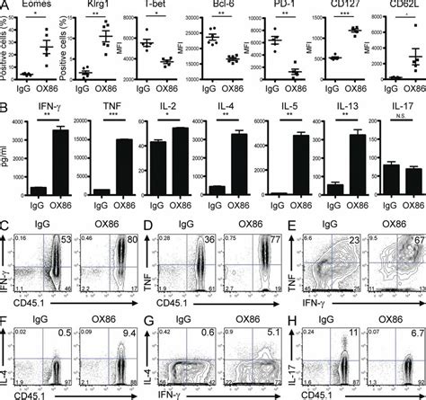 Ctx And Ox86 Promotes Trp1 Cells To Acquire Terminal Differentiation