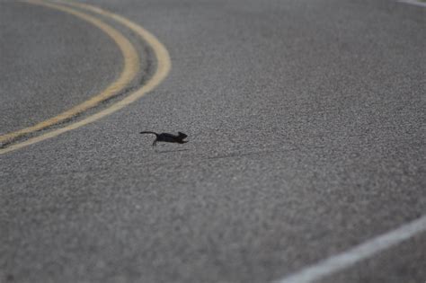 Institute For Compassionate Community Home