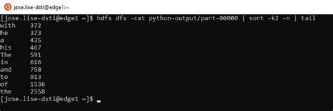 hadoop map reduce example using yarn josé lise