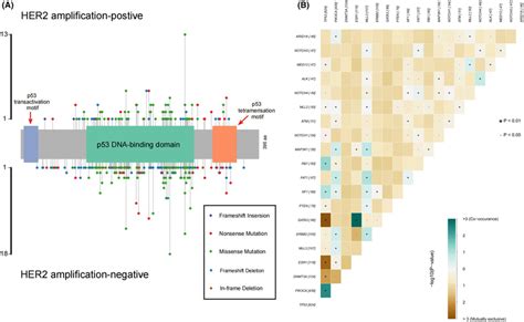 Lollipop And Somatic Interaction Plots Of Tp53 A Lollipop Plot Of