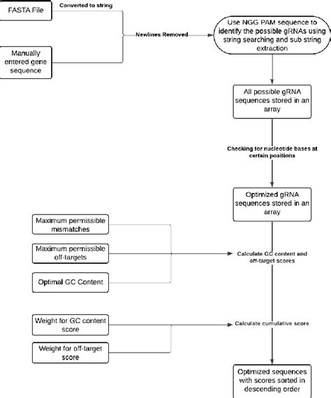 Figure 1 From Crispr Cas9 Guide Rna Designer Using Python Semantic Scholar