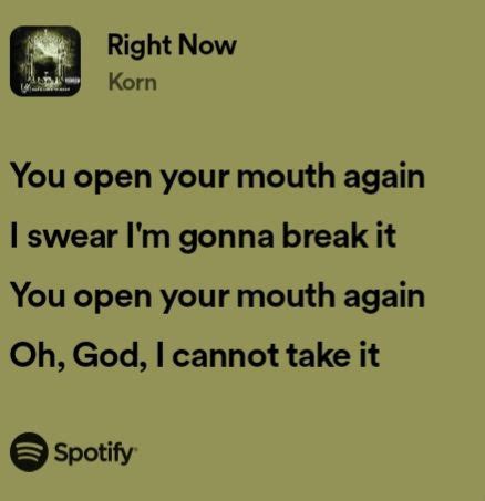 Right Now Korn Korn Just Lyrics Korn Lyrics